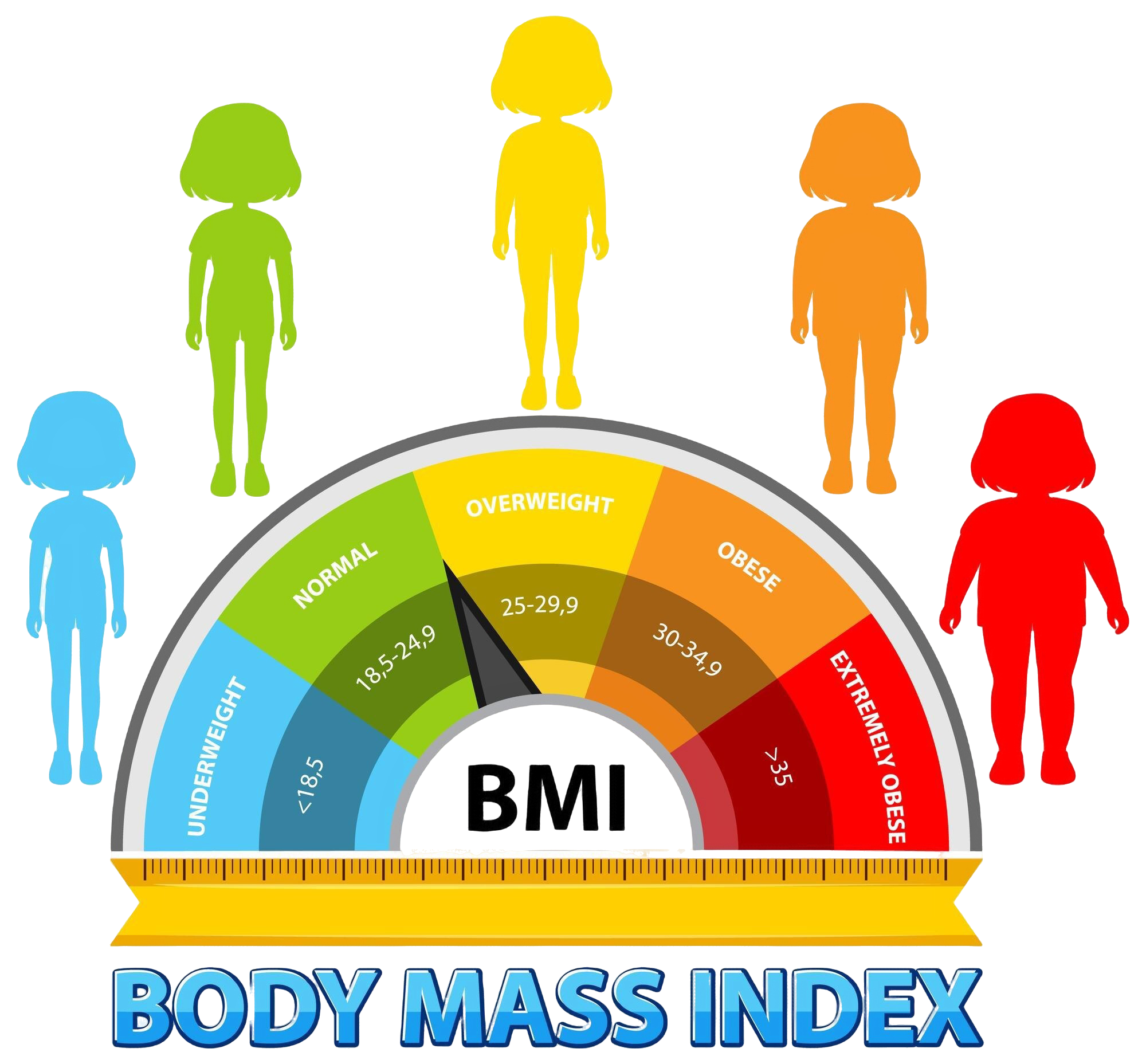 Why Is Belly Fat So Stubborn? Effective Solutions for Lasting Fat Loss ...